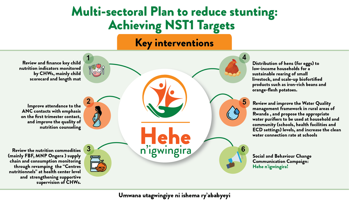 Rwanda One Health Strategic Plan