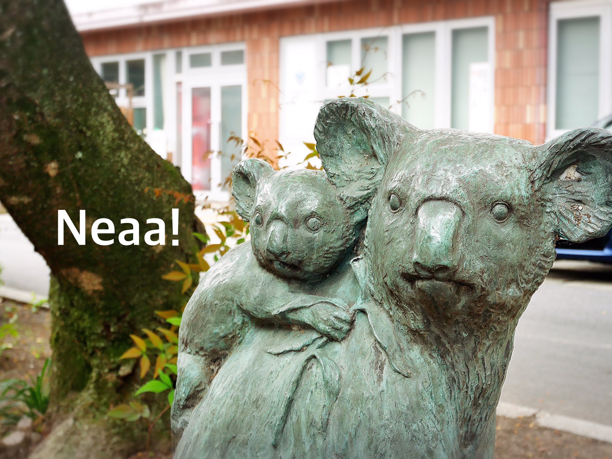 Neaa! (@Neaa_2023) / Twitter