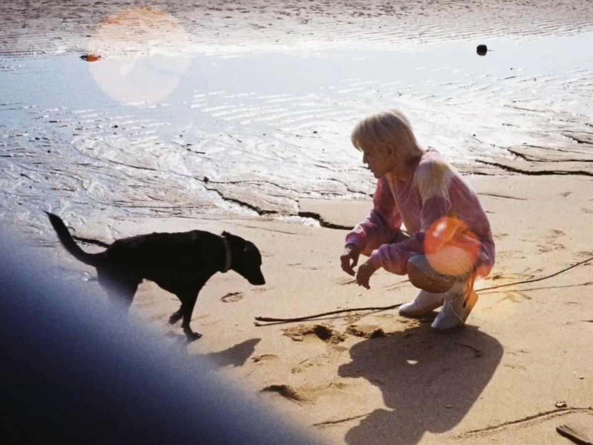 아작 on Twitter: "RT @tyzip_: 강아지랑 태용이 🐕🐾"