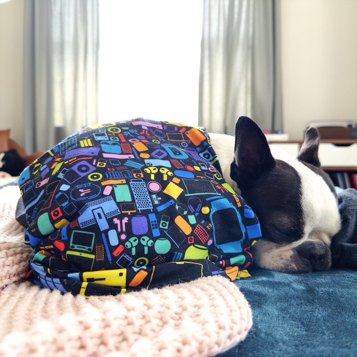 Basic Apple Guy on Twitter: "Basic Apple Pup 🐶"