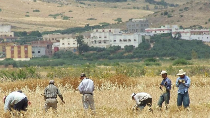 [Thread] Les Ancêtres des actuels Berbérophones - Thread from North ...