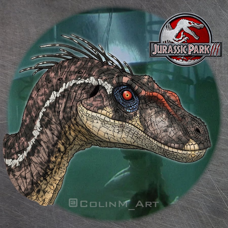Jurassic Park 3 Velociraptor Drawing