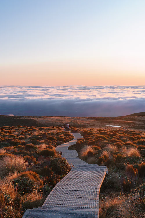 老胡 on Twitter: "渐山林语 | 学会利用主动搜索以及ChatGPT让学习更简单 — Steemit https://steemit.com/hive-180932 ...