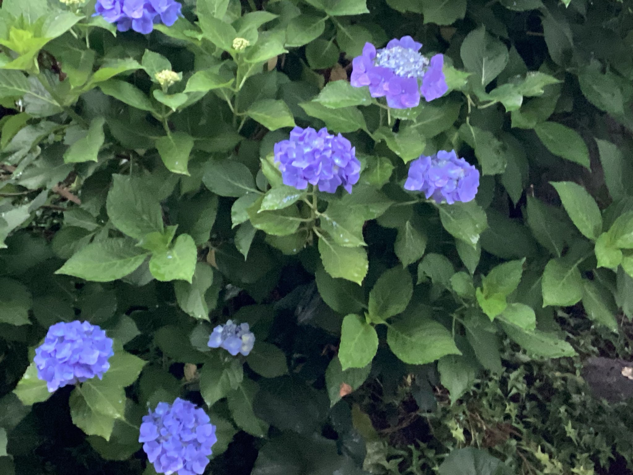 絹子 On Twitter おはようございます😃今日もよろしくお願いします😊 Nsdmexpesm Twitter