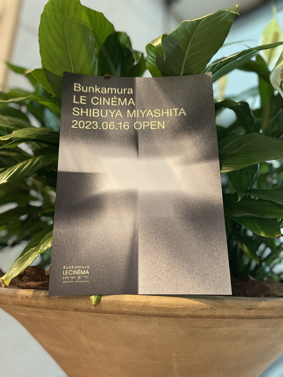 Bunkamura公式ツイッター on Twitter: "おはようございます☀️ 本日は6/14(水)！ ／ #Bunkamuraル・シネマ渋谷宮下 オープンまであと2日！ \ こけら落とし ...