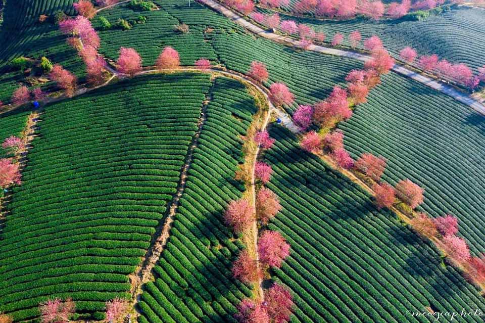 シン - Shin Housing on Twitter: "@nanami45vn そうですね https://t.co/y4eNuj9oS8" / Twitter