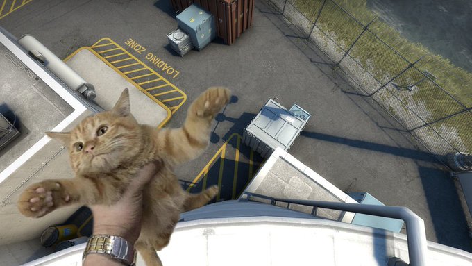 TradeIt.gg on Twitter: ". @CounterStrike Access to CS2 or this cat loses 17 HP https://t.co ...