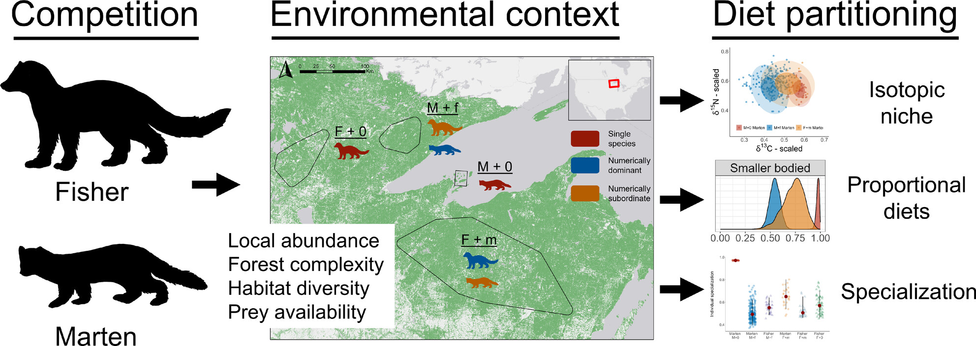 Competition In Ecosystem