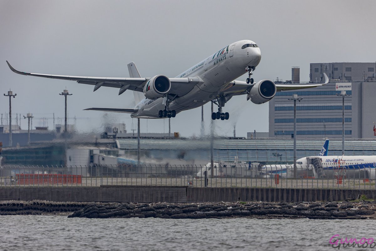 奈良りく 350くん on Twitter: "RT @shibuentry8: #A359初飛行の日 各国のᐢ⓿ᴥ⓿ᐢさん"