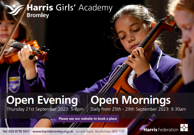 Harris Girls' Academy Bromley - Harris Girls' Academy Bromley