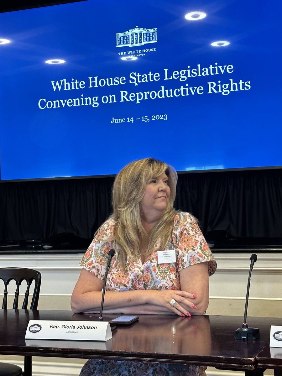 Aftyn Behn on Twitter: "RT @VoteGloriaJ: Honored to be on this panel about Democracy ...