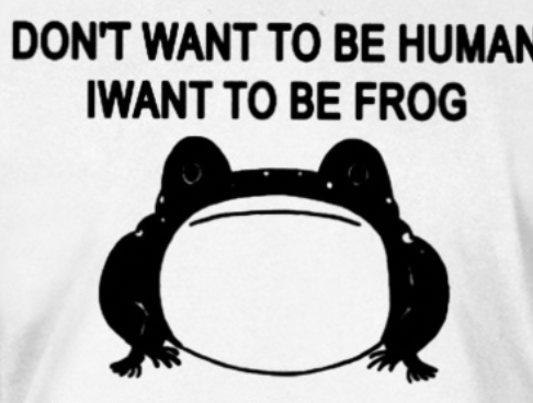 「I looked at some of the bot made bootlegs of my frog shirts 」Rory ...