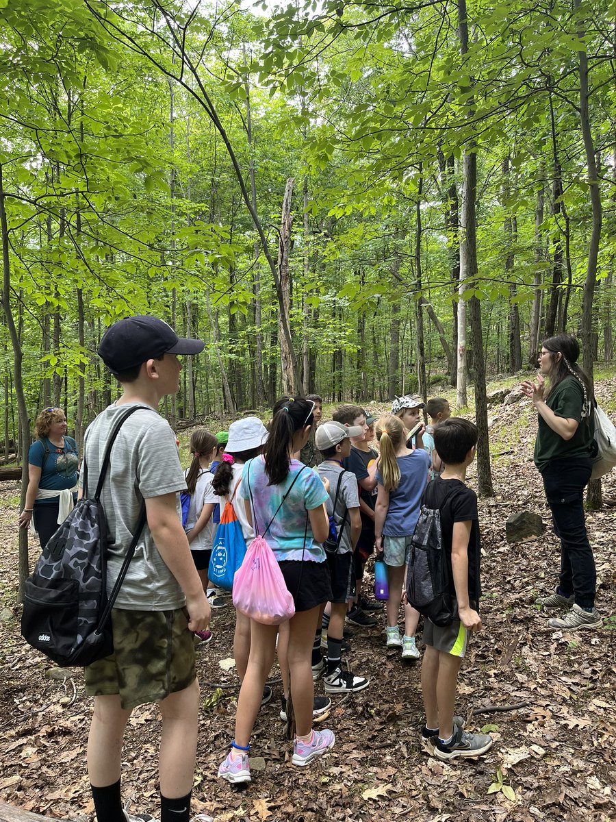 wyckoff schools on Twitter: "RT @ms_dulmage: Third Grade Field Trip to the Weis Center in ...