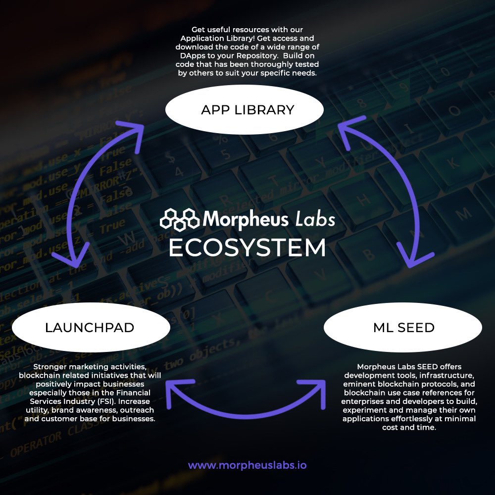 Morpheus Labs on Twitter: "Do you know about the #MorpheusLabs internal #ecosystem, made ...