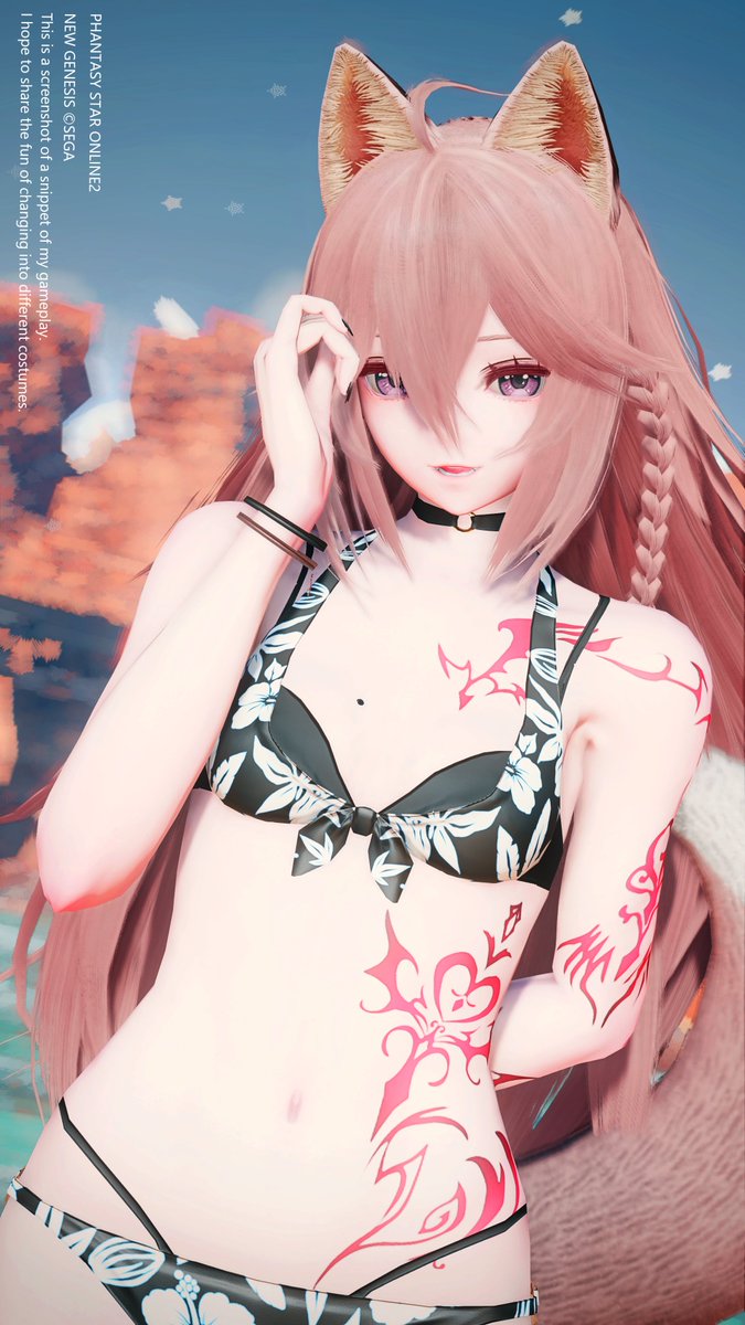 シル@pso2 on Twitter: "RT @LapisLazuli_NGS: #PSO2NGS https://t.co/AfflFe8T4d" / Twitter