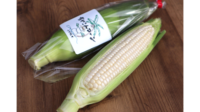 JAcom農業協同組合新聞 on Twitter: "糖度22度のとうもろこし「雪やこんコーン」販売開始 うとさんち｜JAcom 農業協同組合新聞 https://t.co ...