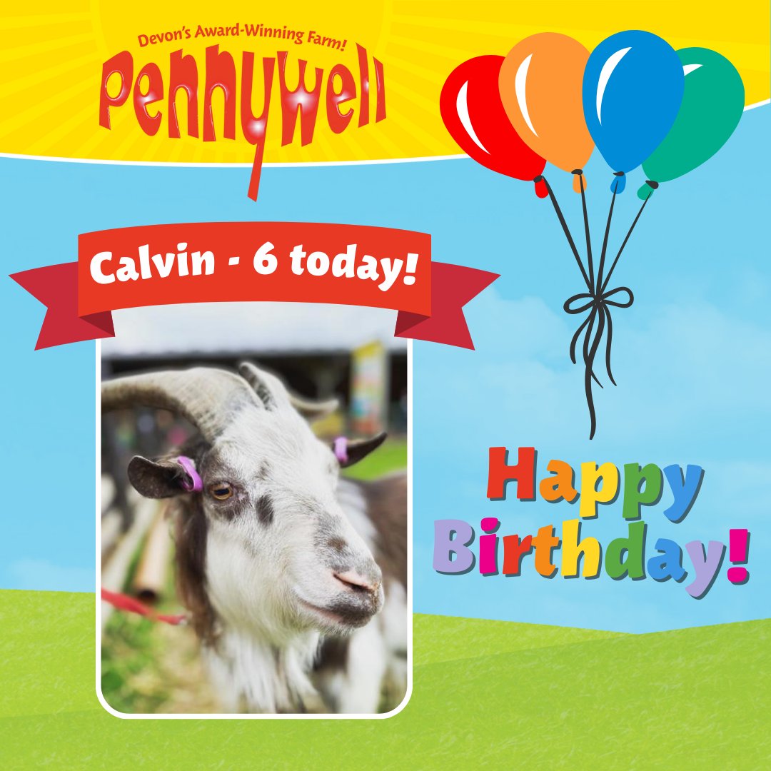 Pygmy Goat Happy Birthday