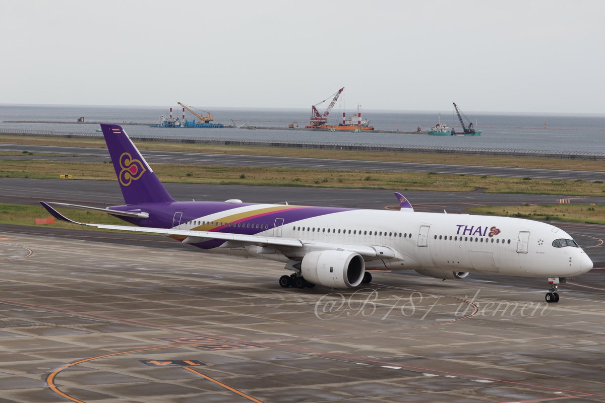 ﾟ･*:.｡. ︎Natsumi ︎.｡.:*･゜ on Twitter: "海外のたぬたぬ。 #A359初飛行の日 #A350"