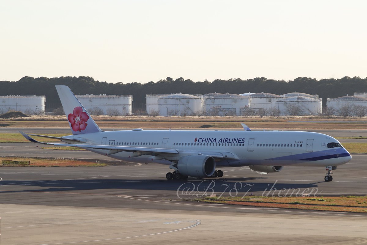 ﾟ･*:.｡. ︎Natsumi ︎.｡.:*･゜ on Twitter: "海外のたぬたぬ。 #A359初飛行の日 #A350"