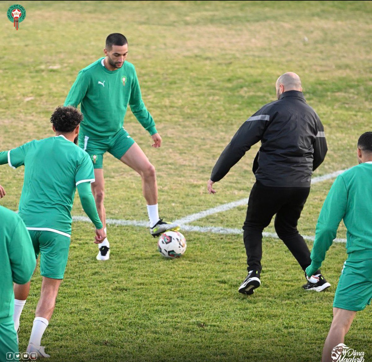#FreeZiyech ⵣ🇲🇦🥑 on Twitter: #FreeZiyech ⵣ🇲🇦🥑 on Twitter: