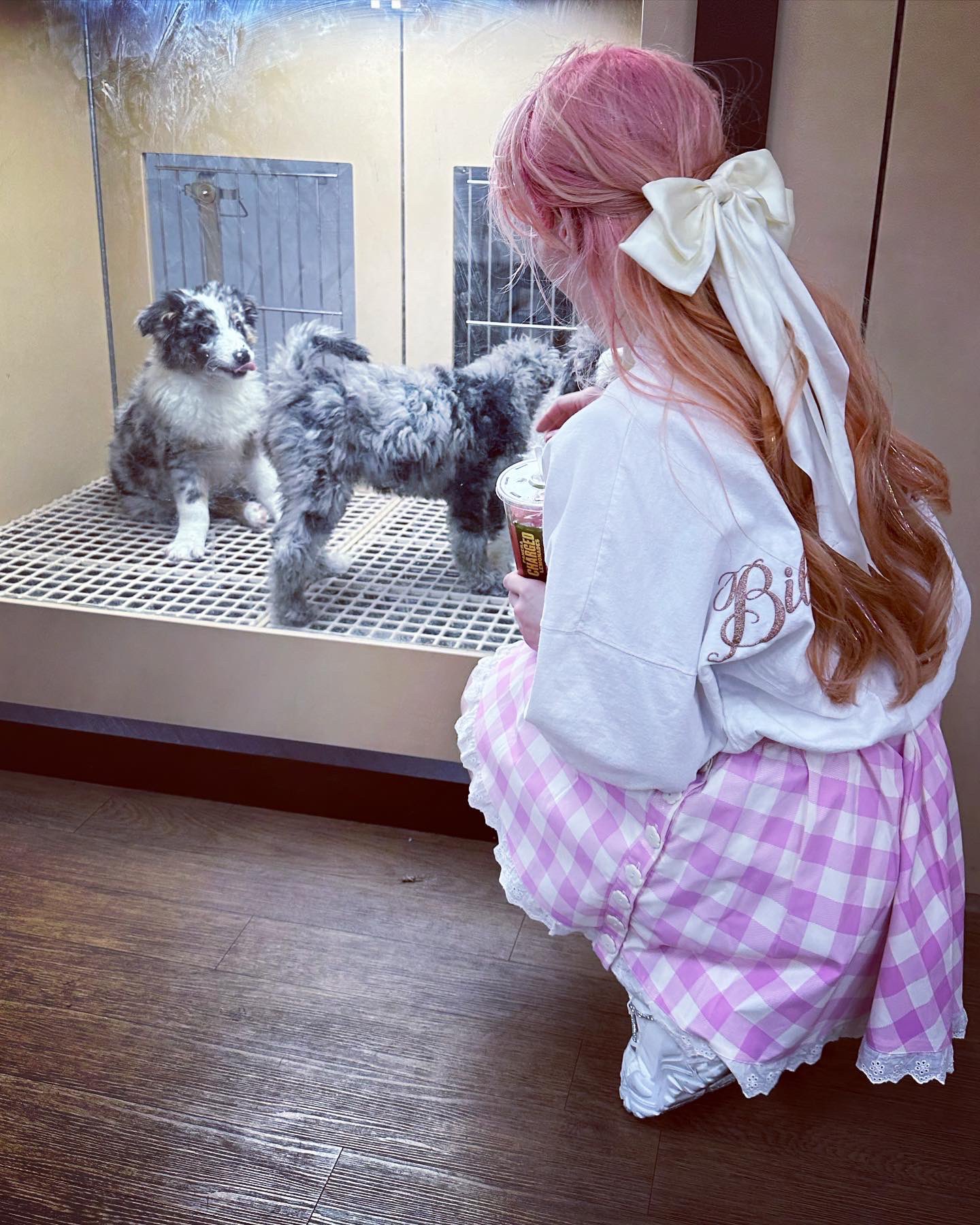 TW Pornstars - Its Kristie Bish 🩵. Twitter. puppies🩵. 8:40 PM - 15 Jun 2023