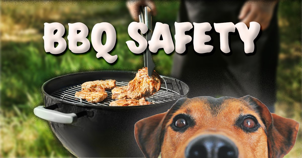 Happy Tails Inc (@HappyTails247) / Posts / X