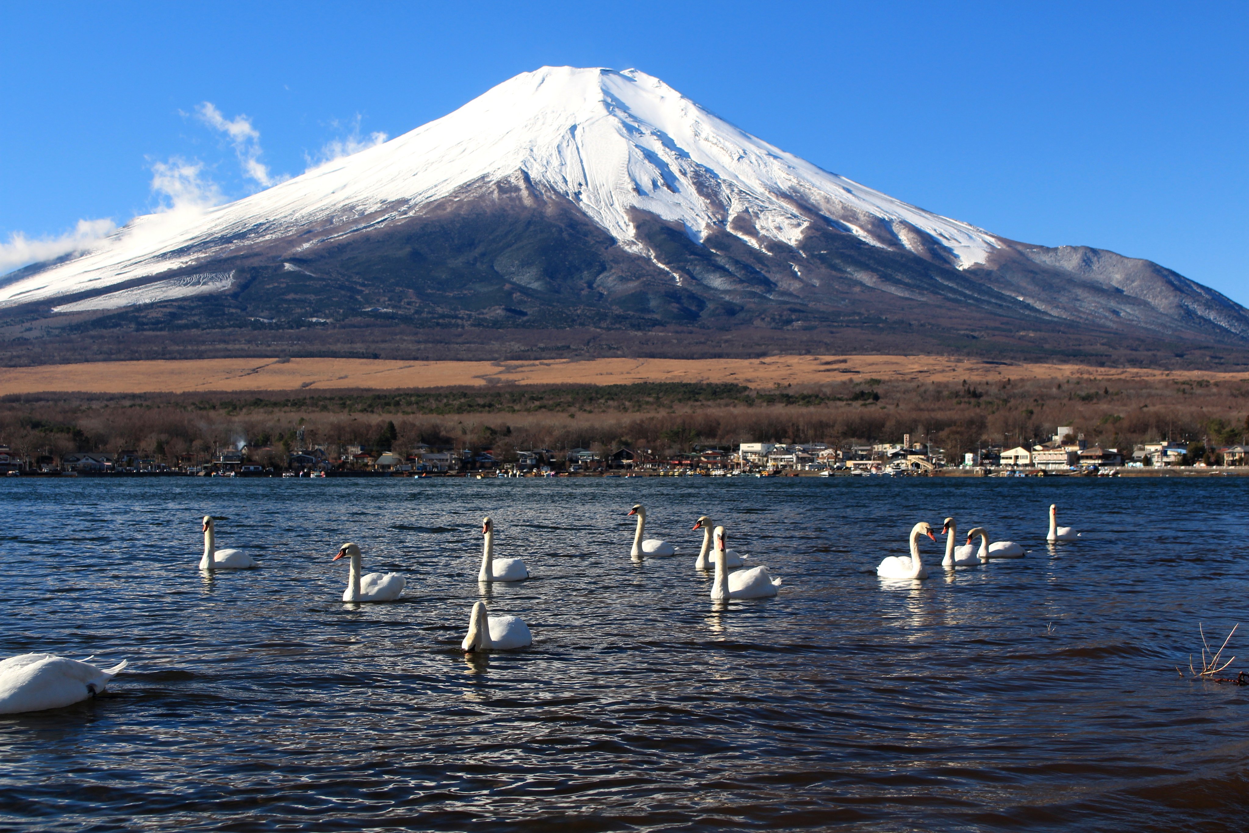 Саво (@ksv_hn) / Twitter