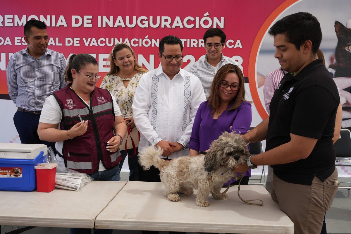 Salud Sonora On Twitter ️ Para Más Información Goo Su Wlyvy