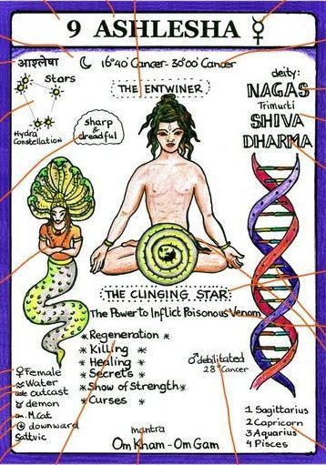 🌺।।Do you know the story of Ashlesha Nakshatra and how it influences ...