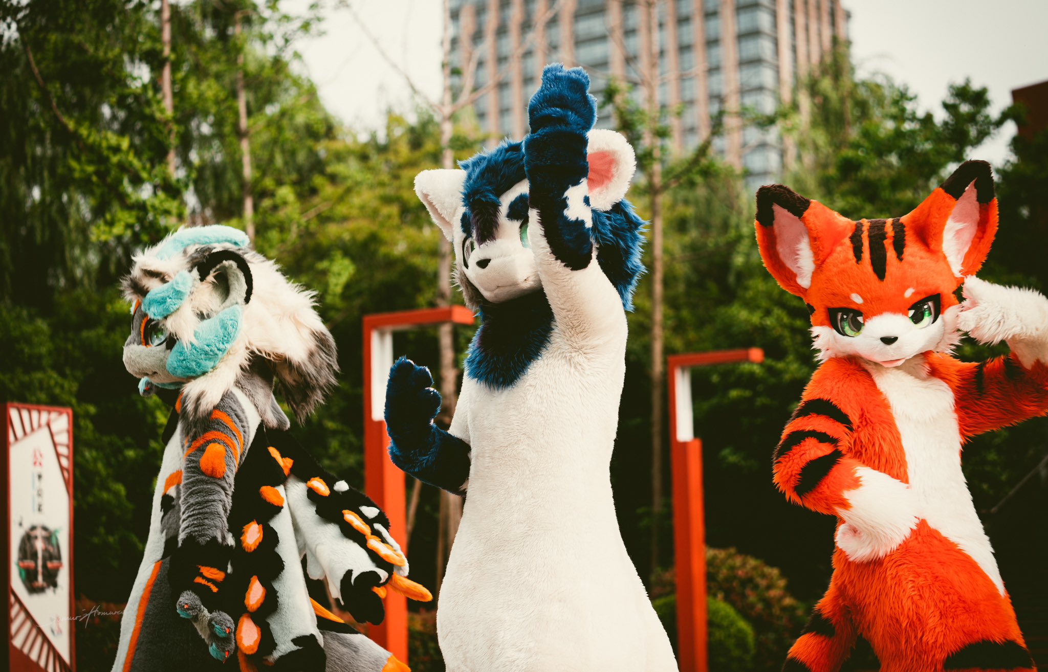 ～冷焱～ on Twitter: "ヘブン~！ ヘブン~！ ヘブン~！ #Fursuit #FursuitFriday https://t ...