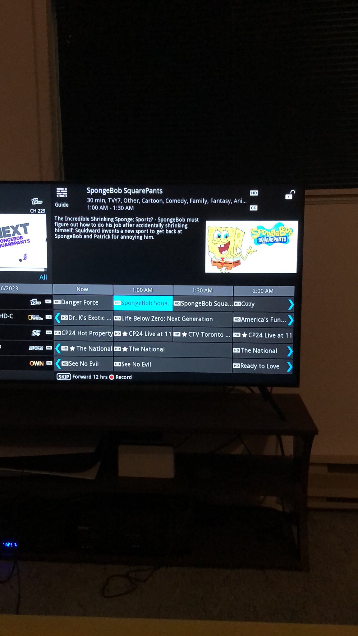 Spongebob Lcd Tv