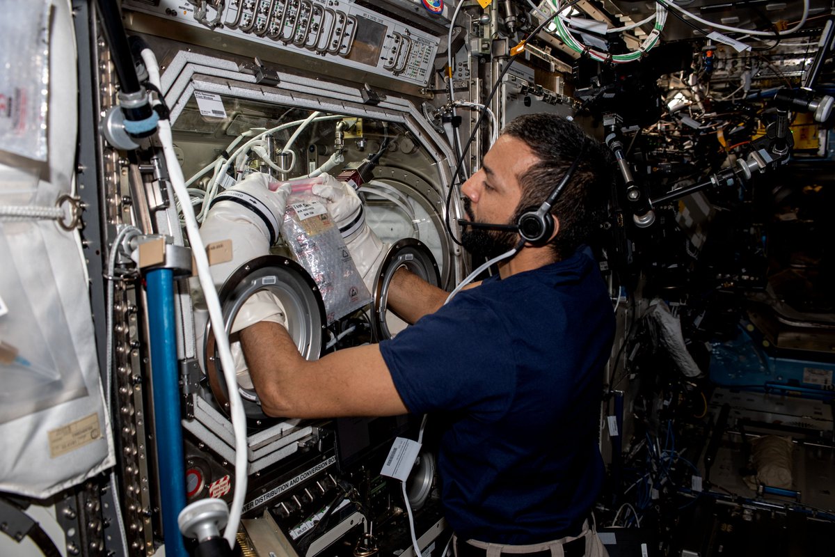 Dubai Media Office on Twitter: "Astronaut Sultan Al Neyadi worked in the Microgravity Science ...