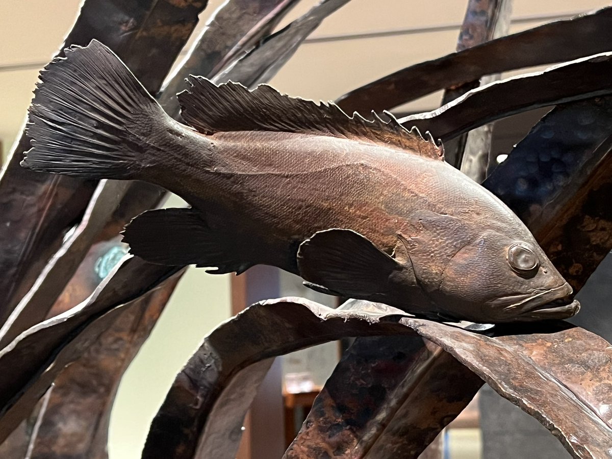 basuku.if on Twitter: