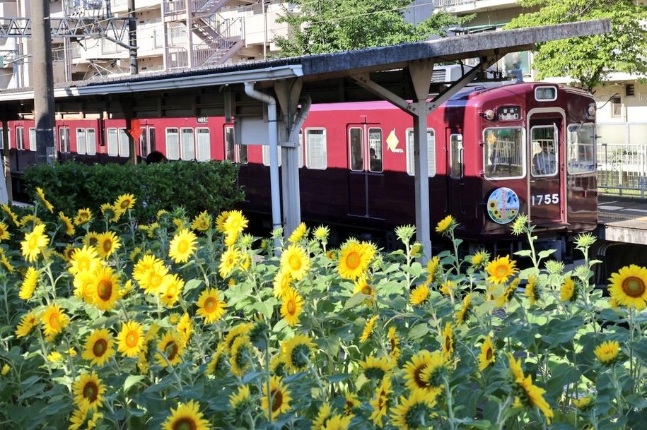 nirvash＠Nose KNITs(@FR_nirvash) - Twilog