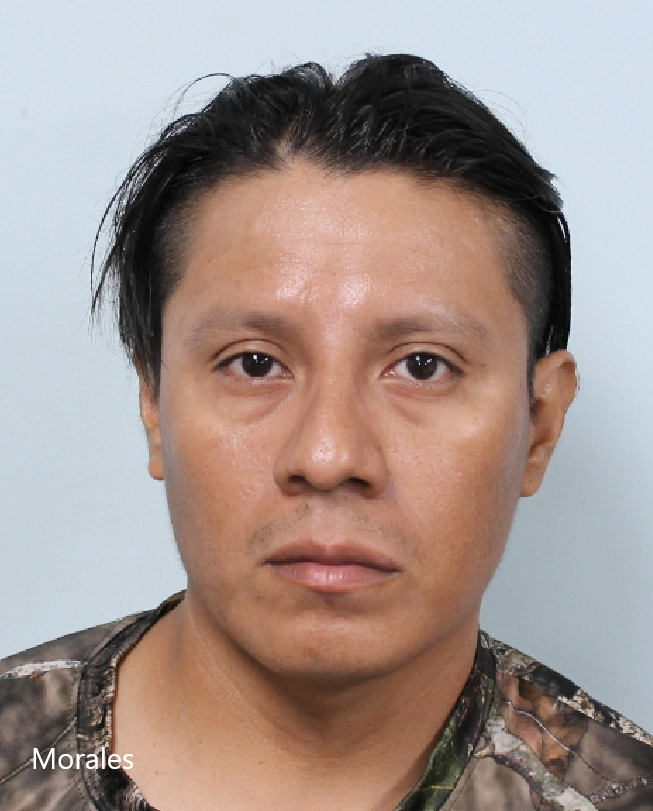 Ryan Walsh on Twitter: "Booking photos of Joel Otero, Renaud Martin, Samuel Morales & Gerald Taylor"