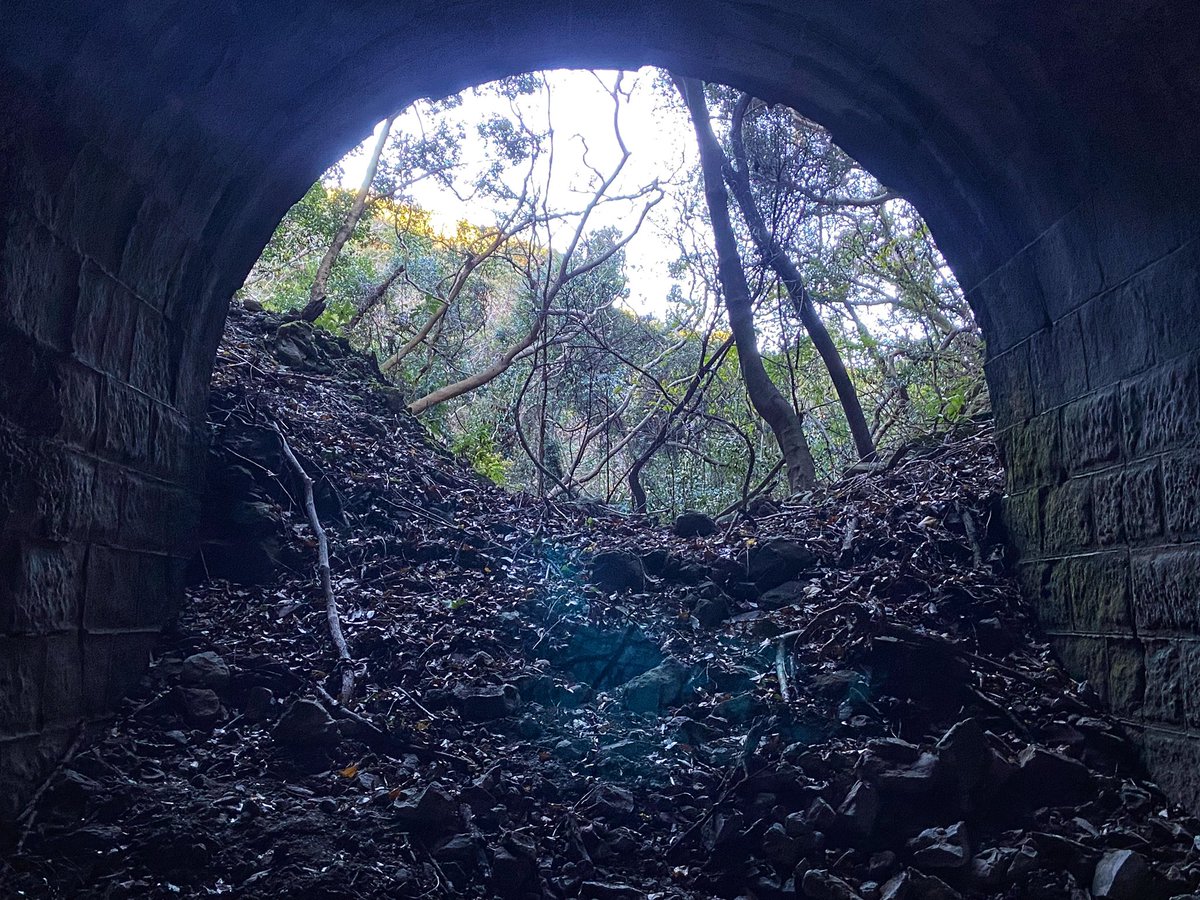 yu.ko.(@yukovelo) - Twilog