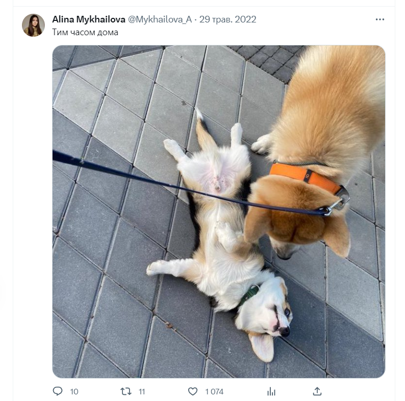 Здеанонений бот On Twitter Rt Publeecist Згідно до довідки наданої