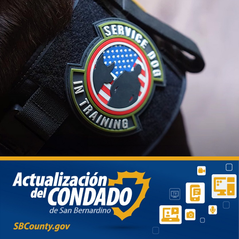 SBCounty on Twitter: "Lea la Actualización del Condado en Español - 16 de junio de 2023 ...