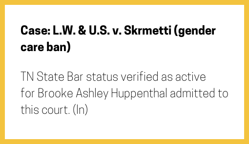 Big Cases Bot on Twitter: "New minute entry in L.W. & U.S. v. Skrmetti (gender care ban): TN ...