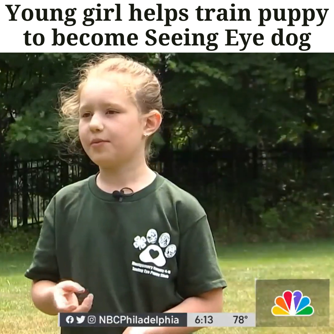 The Seeing Eye on Twitter: "Age is just a number, especially when it ...