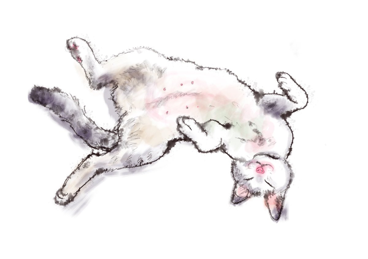 はんこ絵師カピ子 On Twitter ありがとうございます! うれしくて素敵な朝です😊