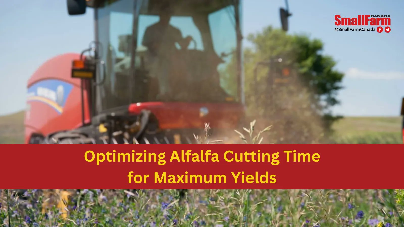 Small Farm Canada on Twitter: "Seeking higher yields? You're in luck! SFC reveals the ways to ...