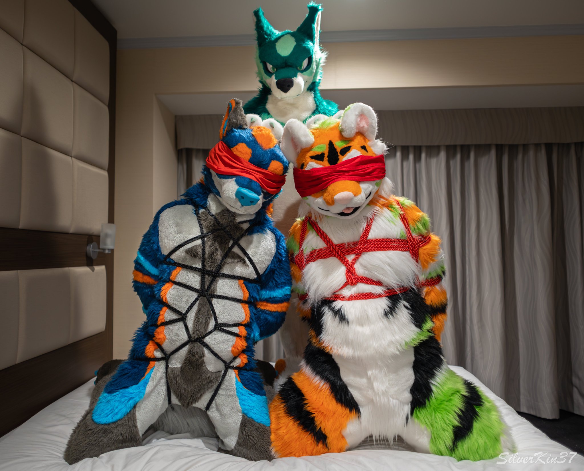 蒼曉 Duskon 🔜 FurMIT 🇹🇼 on Twitter: "Tie all cute Furry up! #FursuitFriday https://t.co/bwh8NedW7y ...