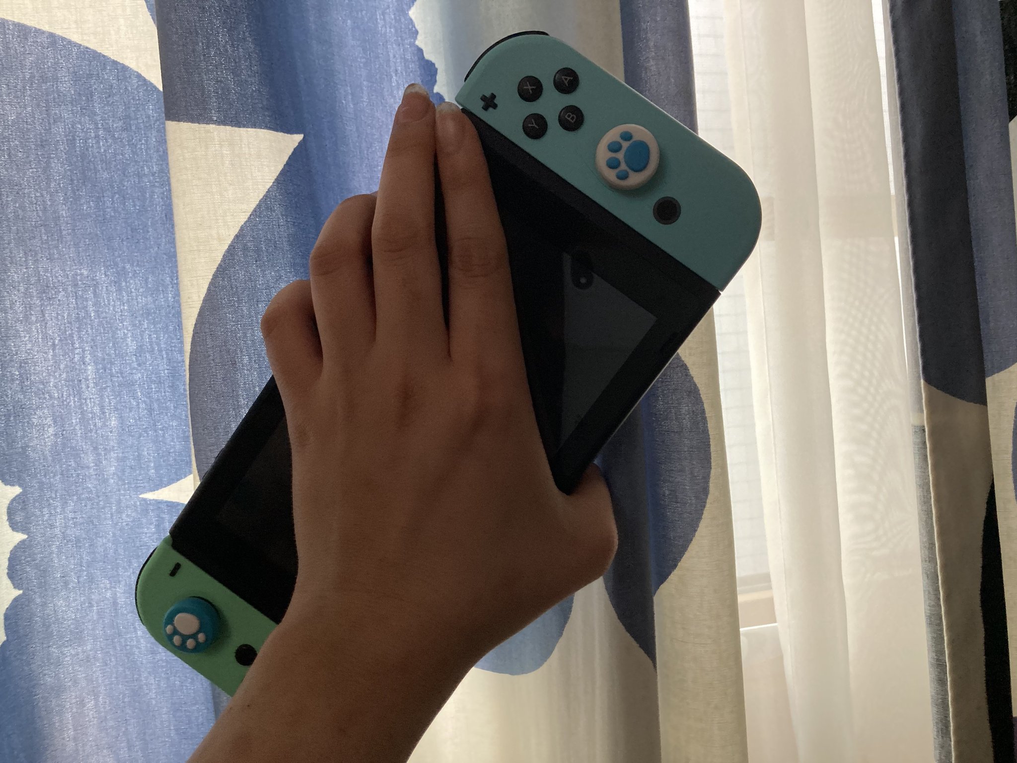 九条🌐ｽﾊﾟｺｽ18🏢,ﾗｸﾞｵｰﾙ🗝️💸🖋️🥂 on Twitter: "Switchをどう森仕様にするぐらいには好きよ。 https://t.co/iH32cFnNya" / Twitter