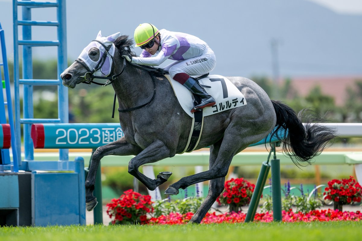 netkeiba on Twitter: "【函館 2歳新馬】 5R #コルルディ 芝1200 父ダノンシャンティ 母ハイヨーシルバー #鮫島克駿 騎手はJRA通算400勝達成。生産者のU・M ...