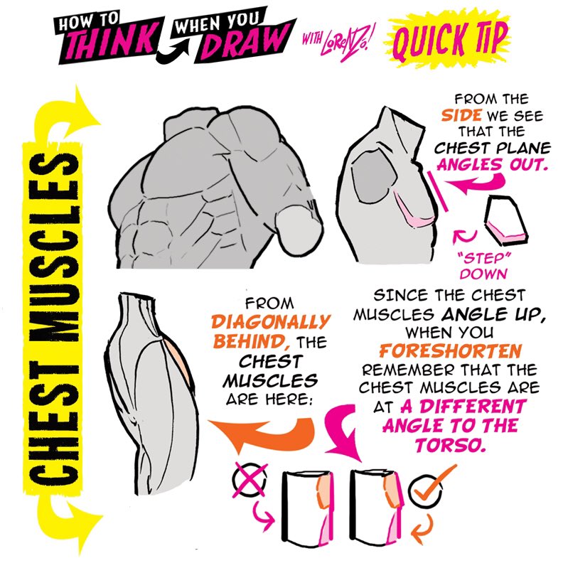 Etheringtonbrothers On Twitter Chest Muscles From The How To Think When You Draw Encyclopedia