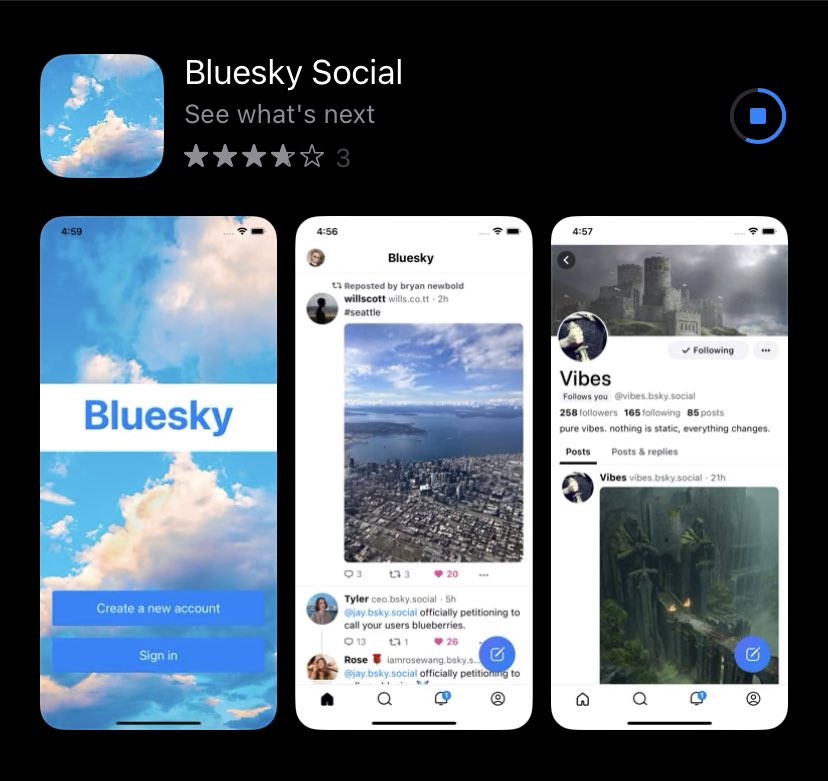 ray on Twitter: "fvck you elon 💋💋 https://t.co/l8R8VcolzY" / Twitter