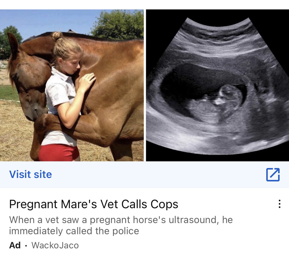 Trey the Explainer on Twitter: "I stumbled across this absolutely insane YouTube Ad today https ...