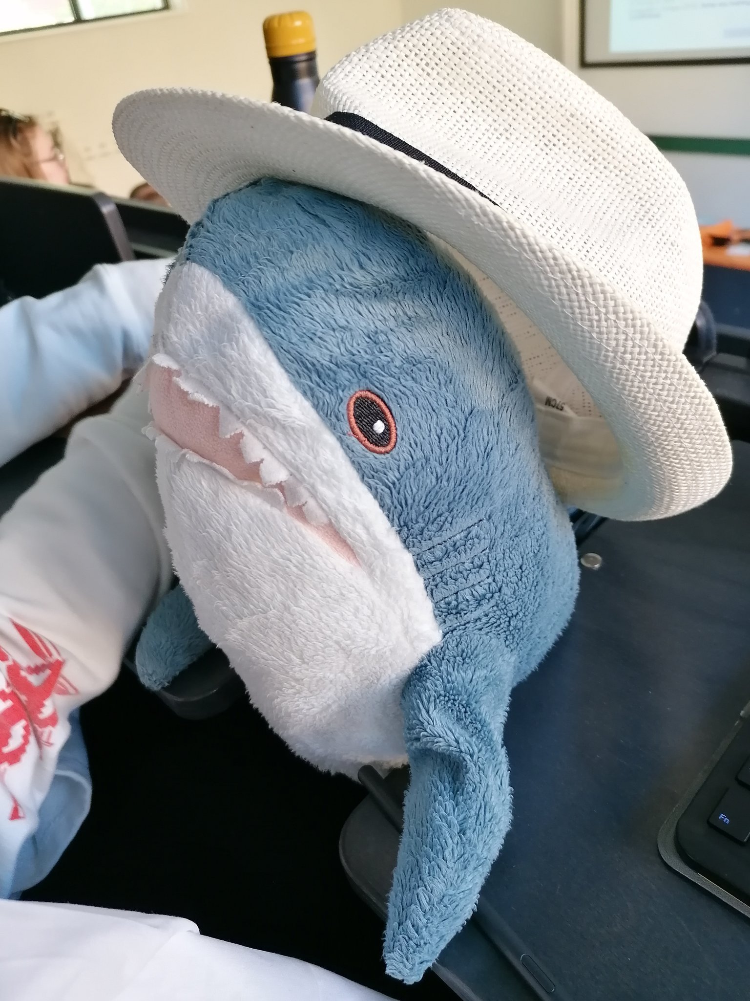 blueberry_Husky on Twitter: "@softdinoboi Wann kommt die collab mit Finley? :3 https://t.co ...