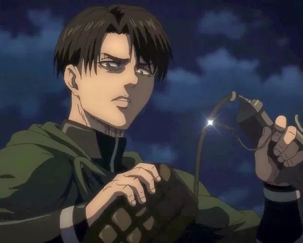 Matthew Mercer Levi